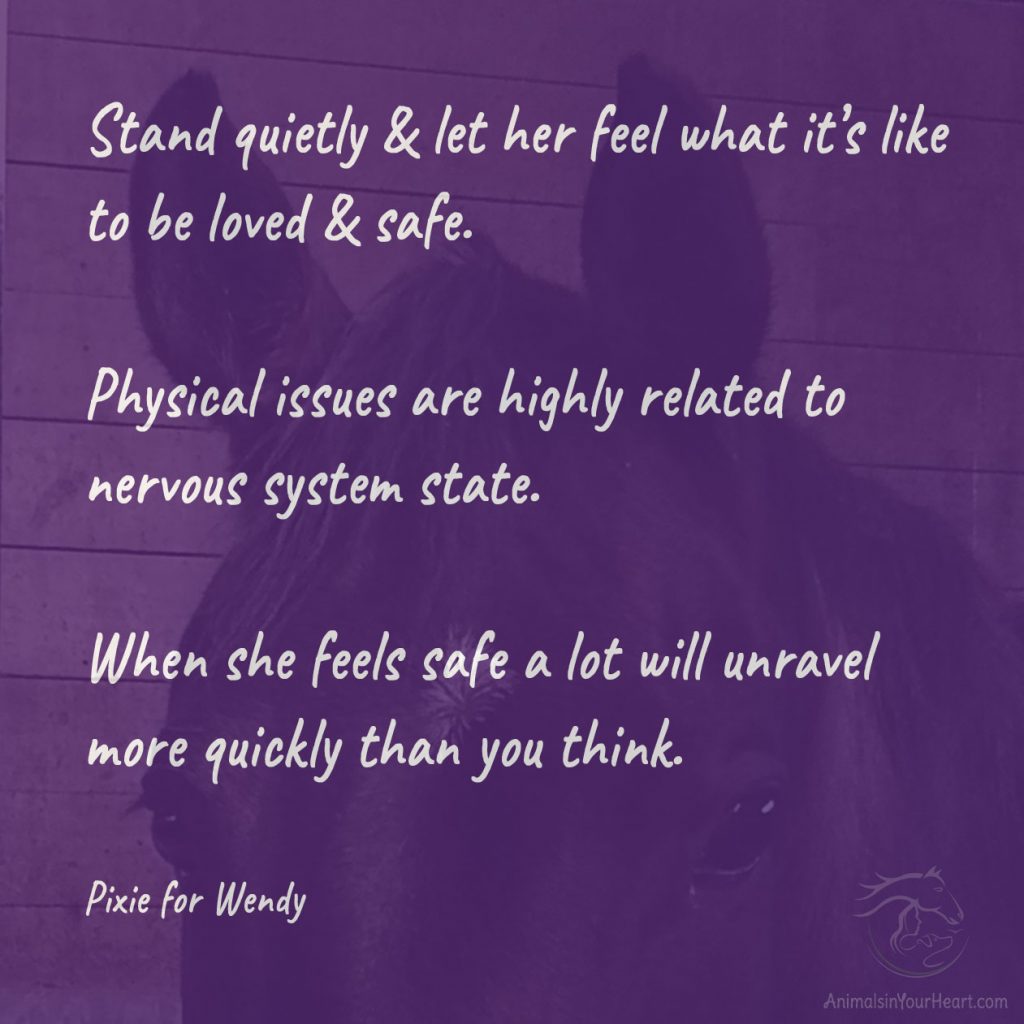 Stand quietly & let her feel what it’s like to be loved & safe | Pixie ...