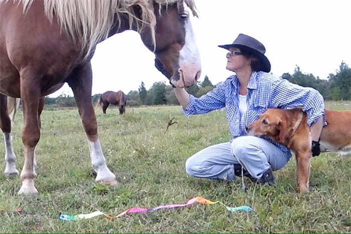 Consciously Connect with your Animal Family | Animal Communication